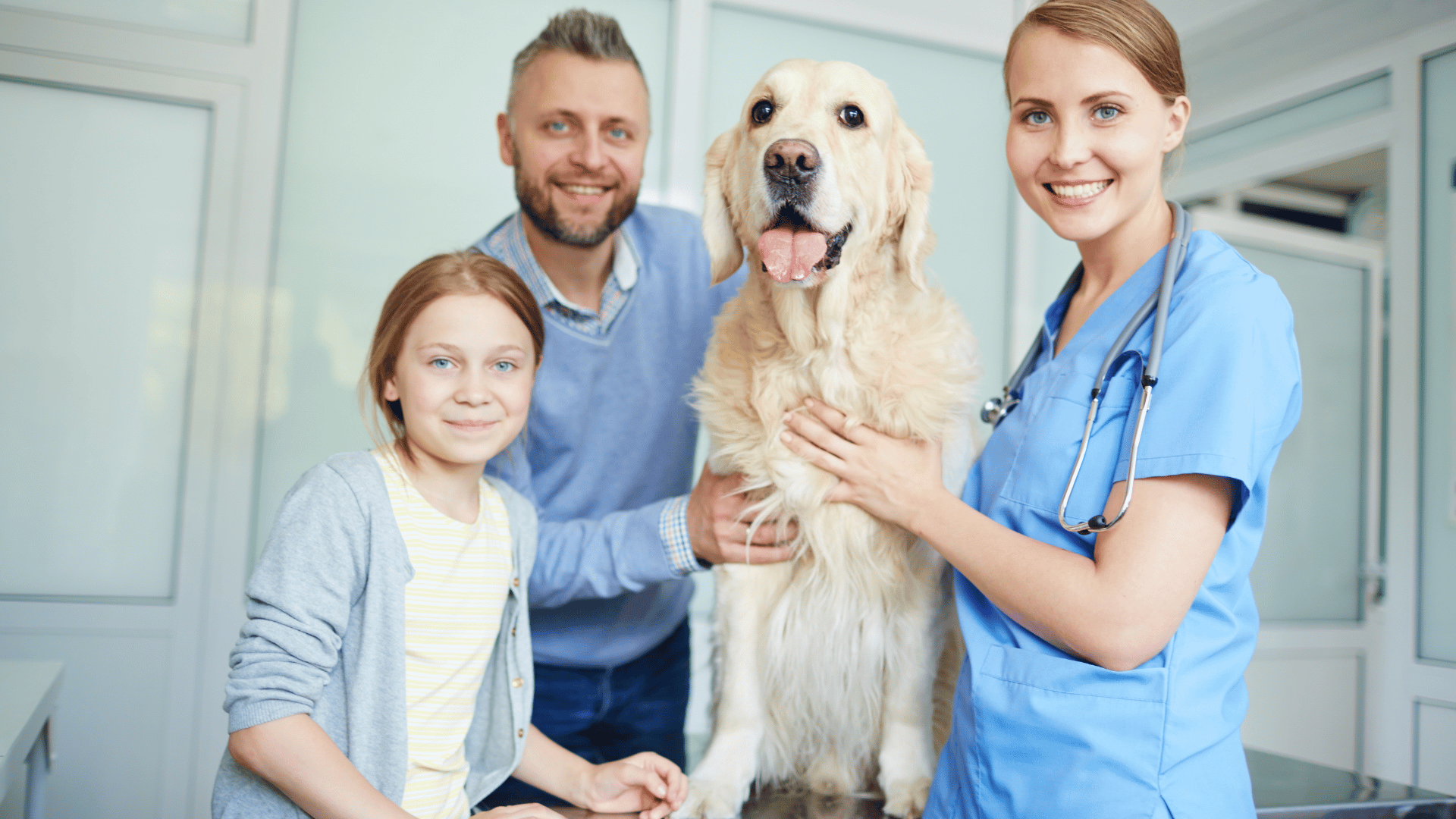 Veterinarian Reviews In Alpharetta, GA 30009 | Wills Park Vet