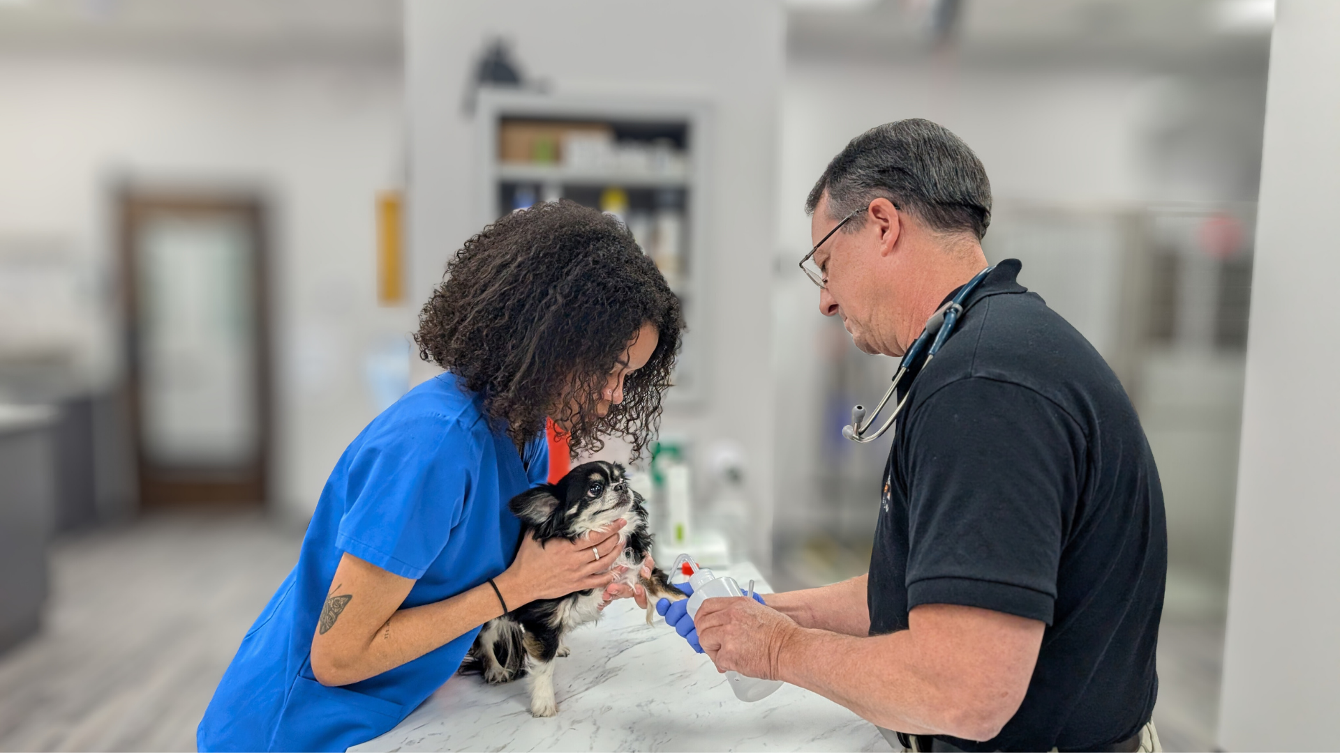 Payment Options | Wills Park Vet